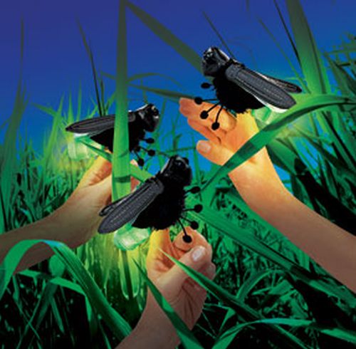 Folkmanis Mini Firefly Finger Puppet – Canadian Puppet Shop